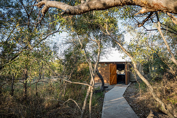 The Hide | Klipspringer